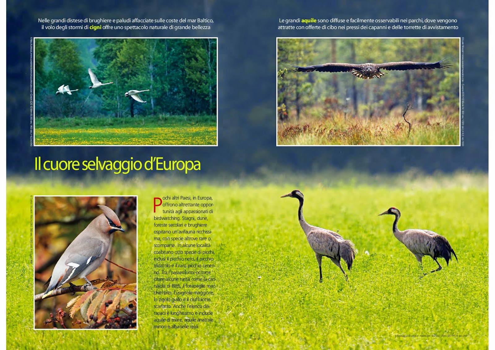 Estonian Nature Tours: "Oasis"- the largest travel and nature magazine ...