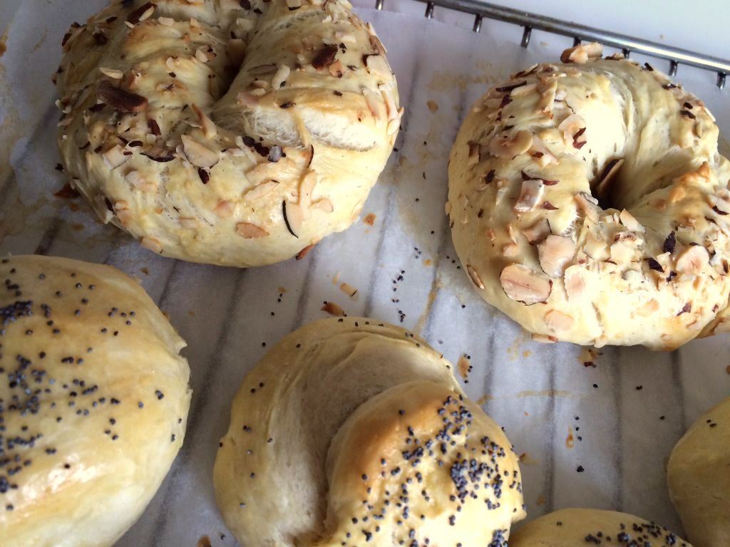 En pausefisk på 3 år... - HomeMadeHeaven