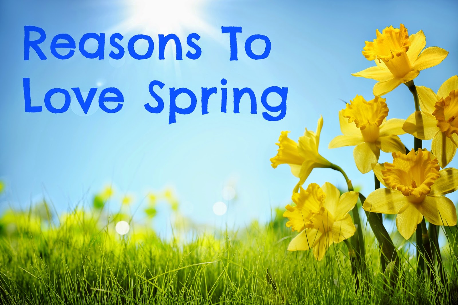 Entertaining Elliot: Reasons To Love Spring