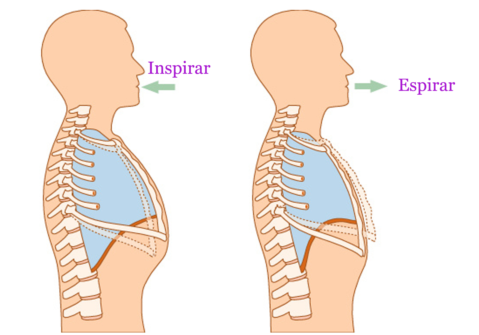 Encontrando tu bienestar