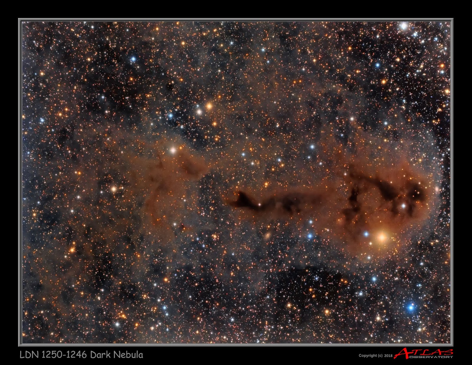 ATLAS OBSERVATORY : LDN 1250- LDN 1246 Dark Nebula
