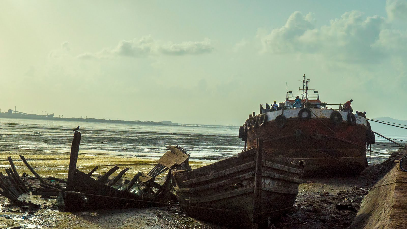 NOMADIC PARIKRAMA: Cycling Sewri Flamingo Point With Buddy Riders