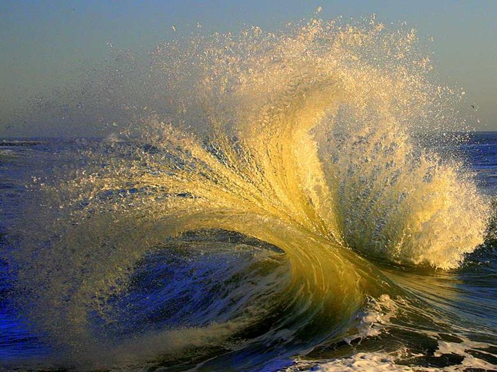 O Lovely: AMAZING SEA LIFE