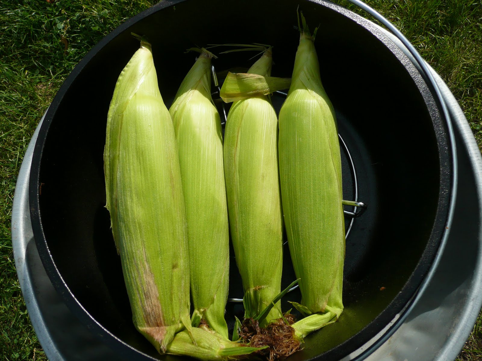 Everyday Dutch Oven: Baked Corn on the Cob