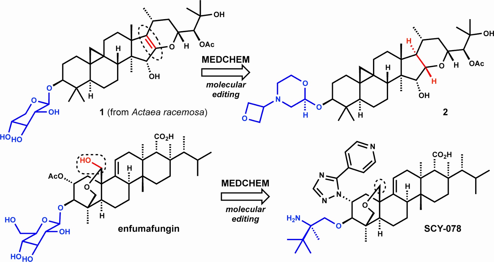 modern steroid science: Discovery of Plant Sterol-Derived Gamma ...