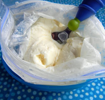 Sassy Sites!: we all scream for {homemade} ice cream!