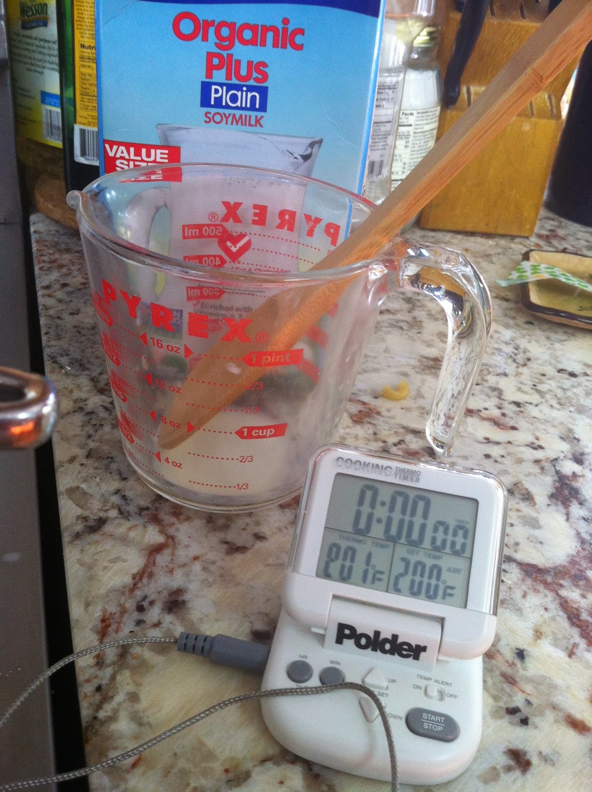 Little Bitty Bites: Soy Yogurt at Home