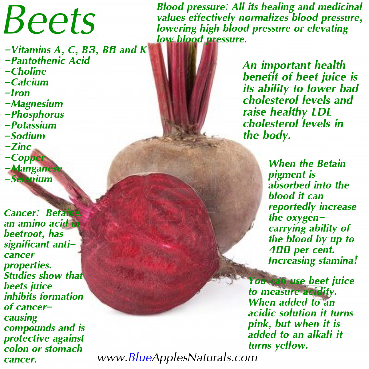 LIve Natural Knowledge