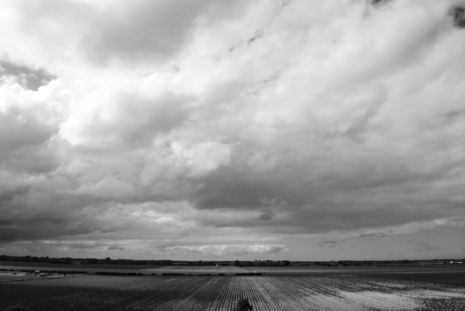 Art Of Photography- Learning Log: Lines- Horizontal and Vertical