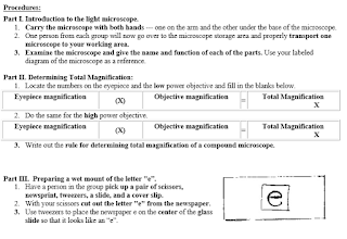 Biology with Salcido: Letter "e" Microscope Lab