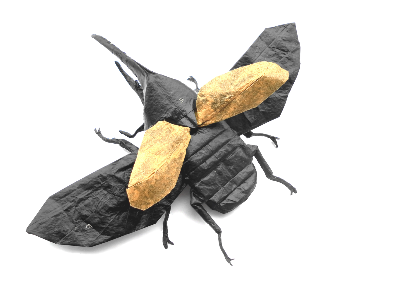 Mariano Mi Mundo El Origami Flying Hercules Beetle