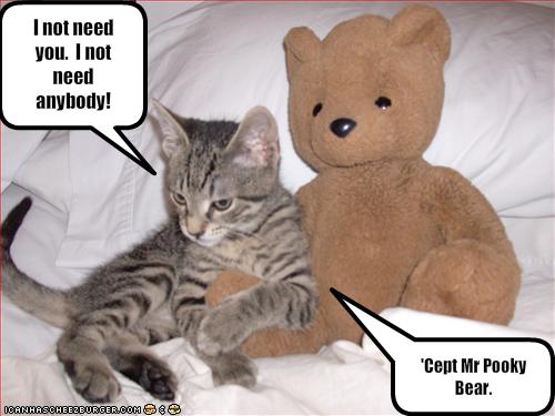 Funny teddy bears |Funny Animal