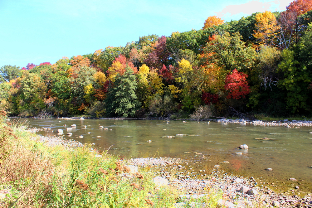 Illinois Wisconsin Fishing: bright fall skies and salmon eyes