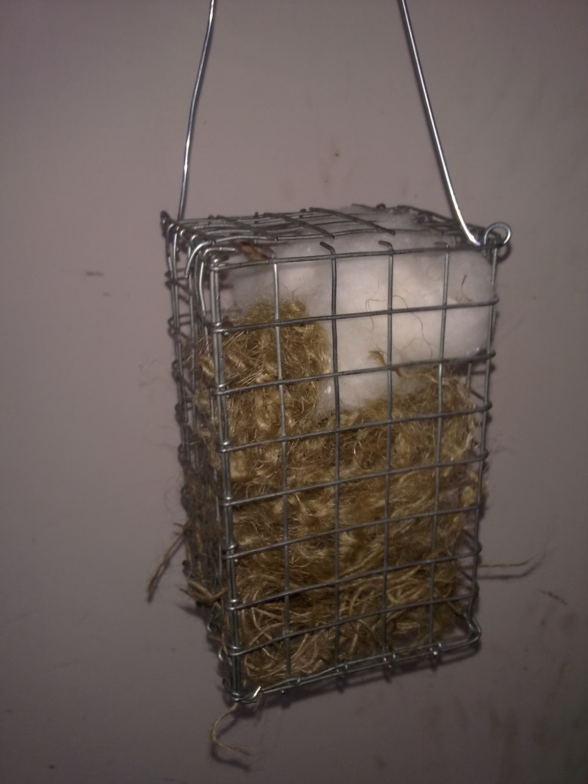 HIRVAL FOUNDATION: Save House Sparrow