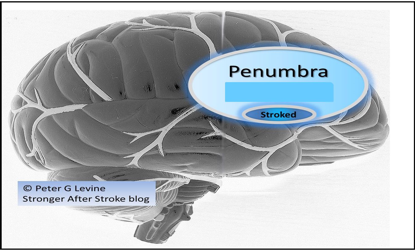 Stronger After Stroke Blog (THE STROKE RECOVERY BLOG)