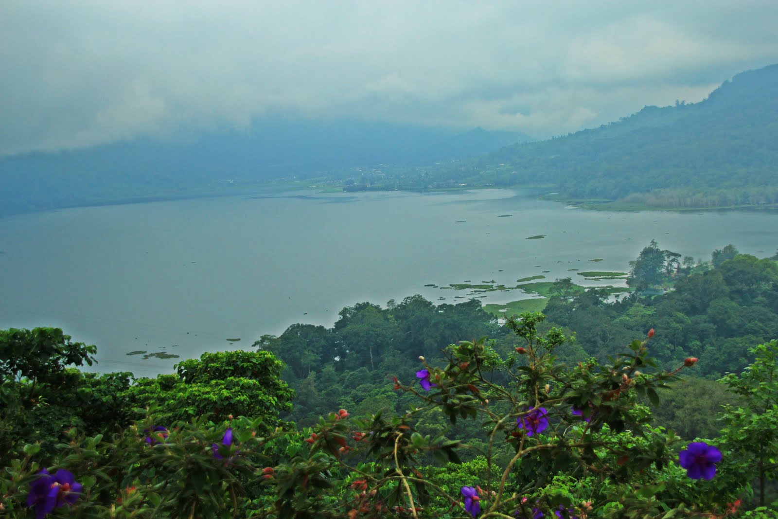 AMED TOUR BALI: Tamblingan Lake & Buyan Lake