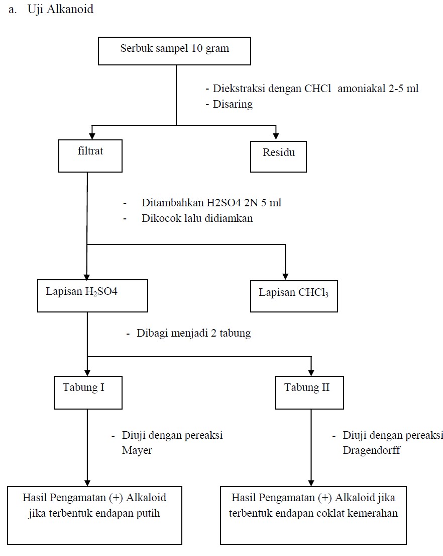 Uji Antioksidan ~ HIDUPKU