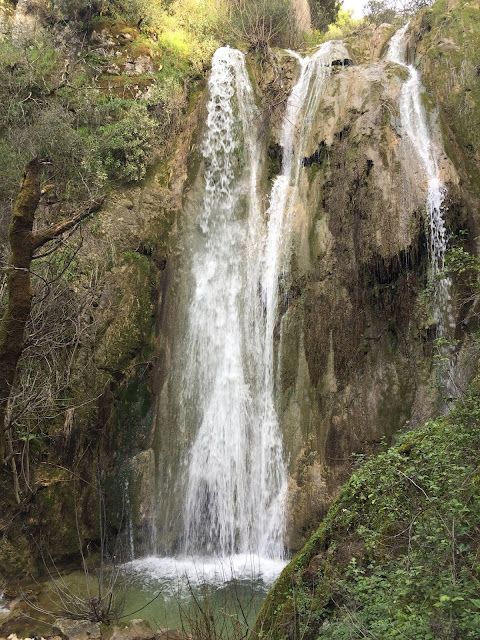 Exploration ~ Americans Visiting Corfu