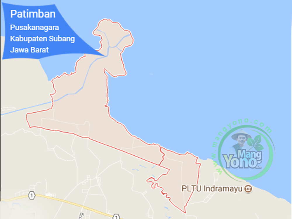 Desa Patimban, Kecamatan Pusakanagara