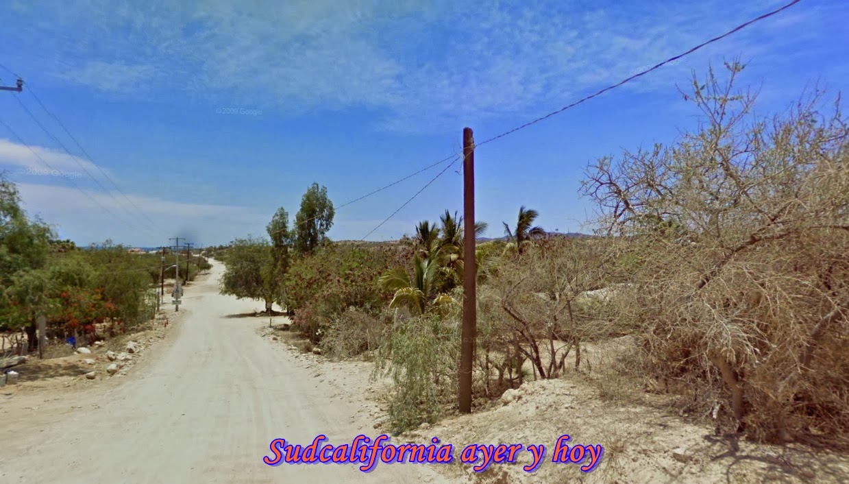 SUDCALIFORNIA DE AYER Y HOY: El Cardonal