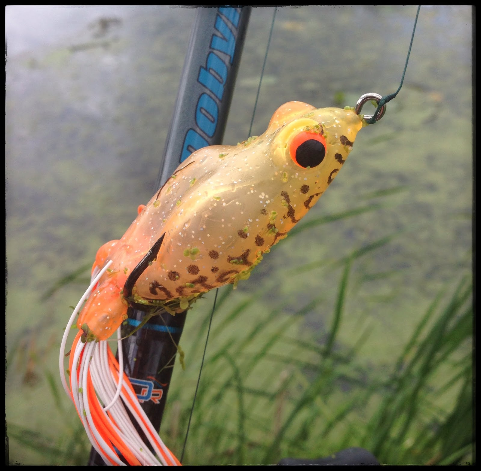 Bass Junkies Frog Pond: Boze Sumo Frog Review - Retired