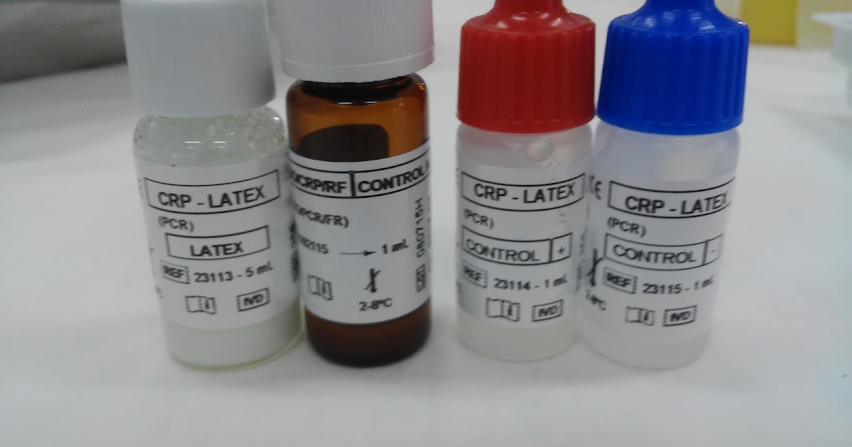 PRACTICAS DE MICROBIOLOGIA : PCR - LATEX