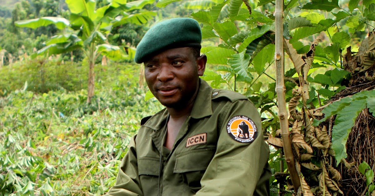 The Right Human: Rodrigue Katembo - the Congo's park ranger who risks ...