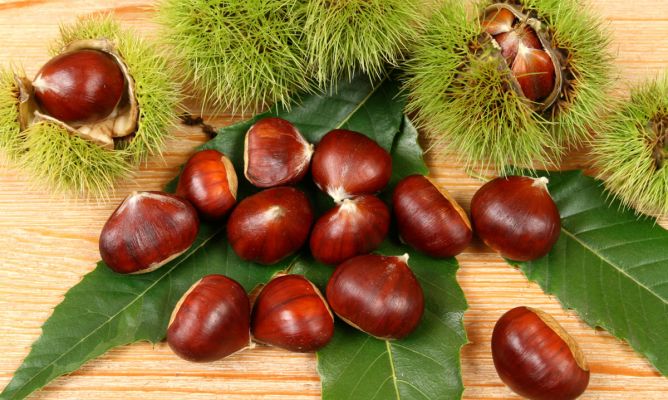 Volcanes, Rios,Ciudades y Pueblos de Chile: Frutas Sur