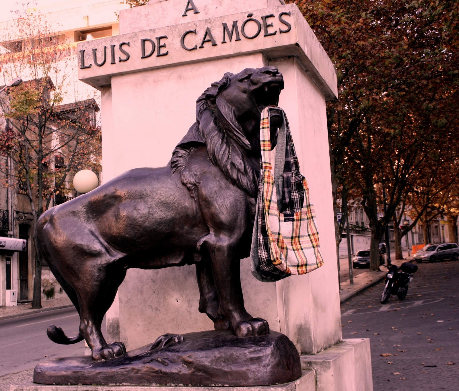 projecto TROUXA MOCHA: o rei é (muito) Trouxa