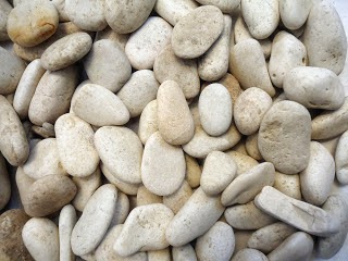 14 Jenis Batu Koral Sikat - JASA BATU SIKAT