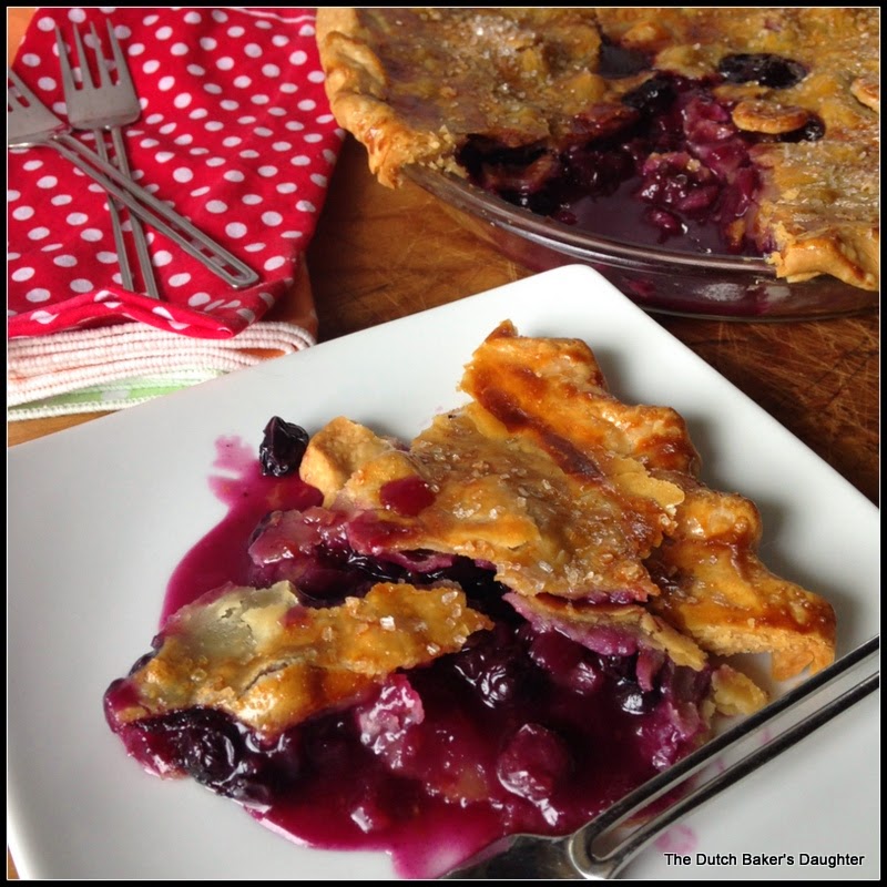 The Dutch Baker's Daughter: Blueberry-Rhubarb Pie