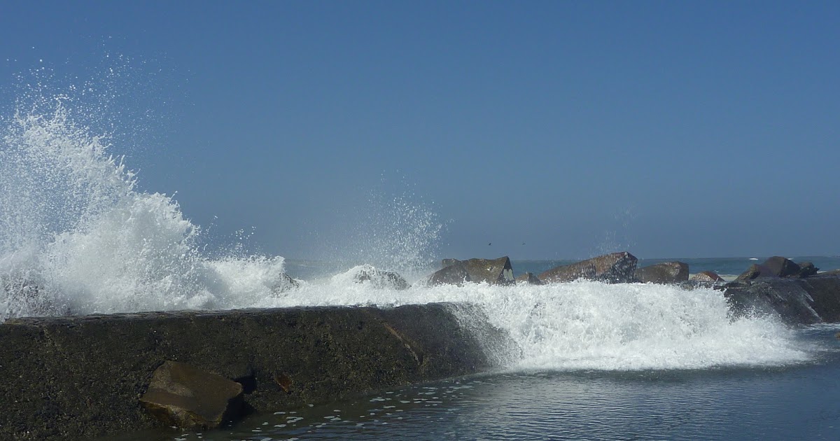 Trailing Ahead: Beach-combing near the North Jetty at the Humboldt Bay ...