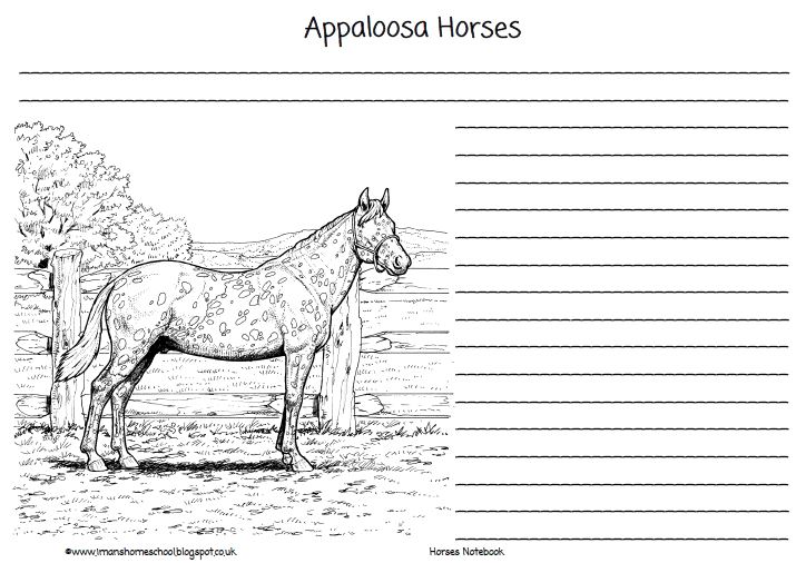 Iman's Home-School: Horses Notebook & Activity Pack