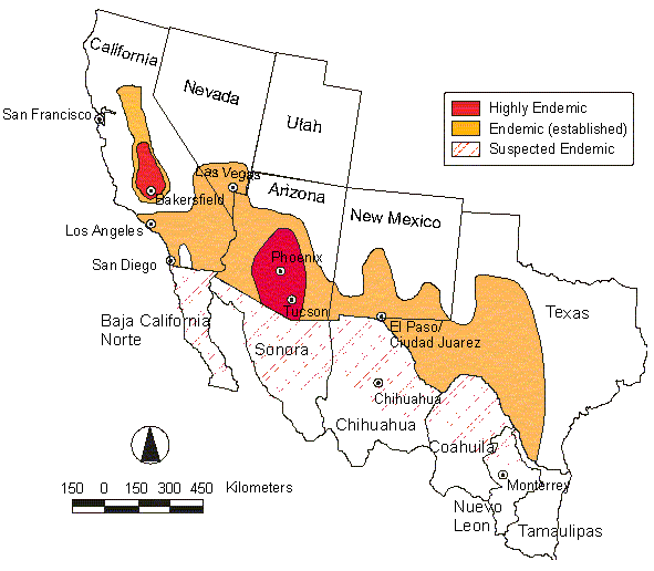 The e-Pistles of Paul ©2010 A.D.: Valley Fever (coccidioidomycosis ...