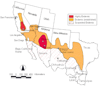 The e-Pistles of Paul ©2010 A.D.: Valley Fever (coccidioidomycosis ...