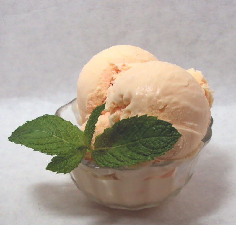 Countryside Recipes: Ben and Jerry's Orange Cream Dream Ice Cream