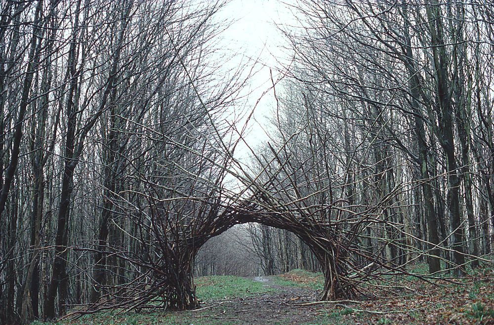 David Dangerous: Andy Goldsworthy