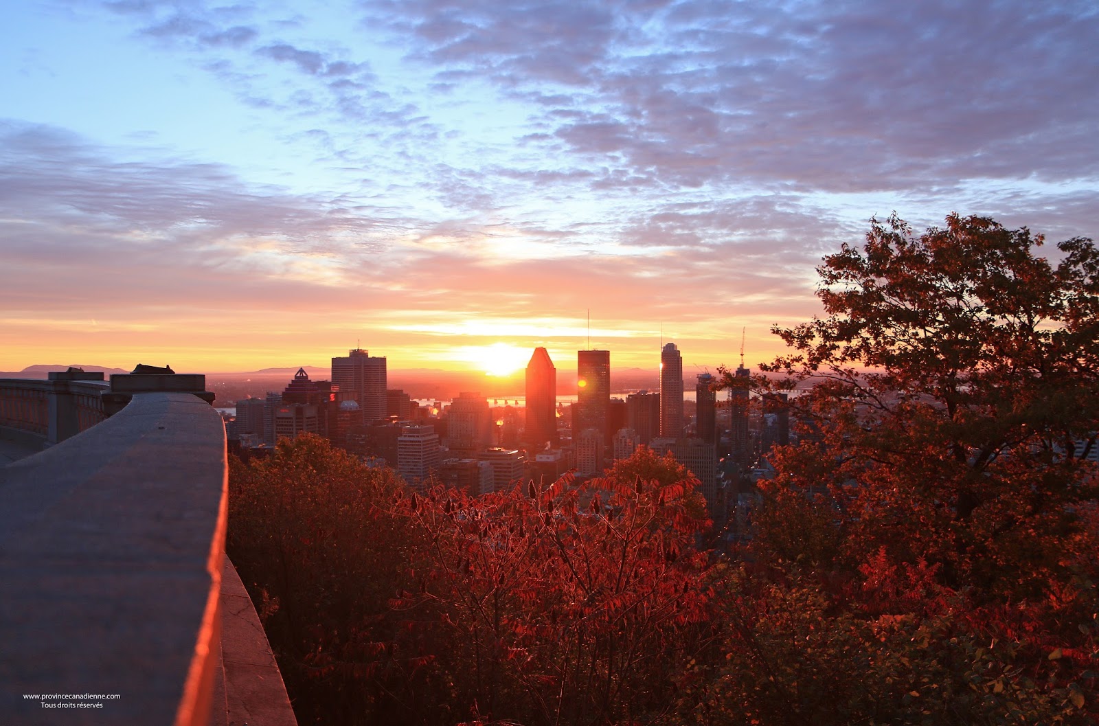 Province canadienne: Matin d'automne sur le Mont-Royal