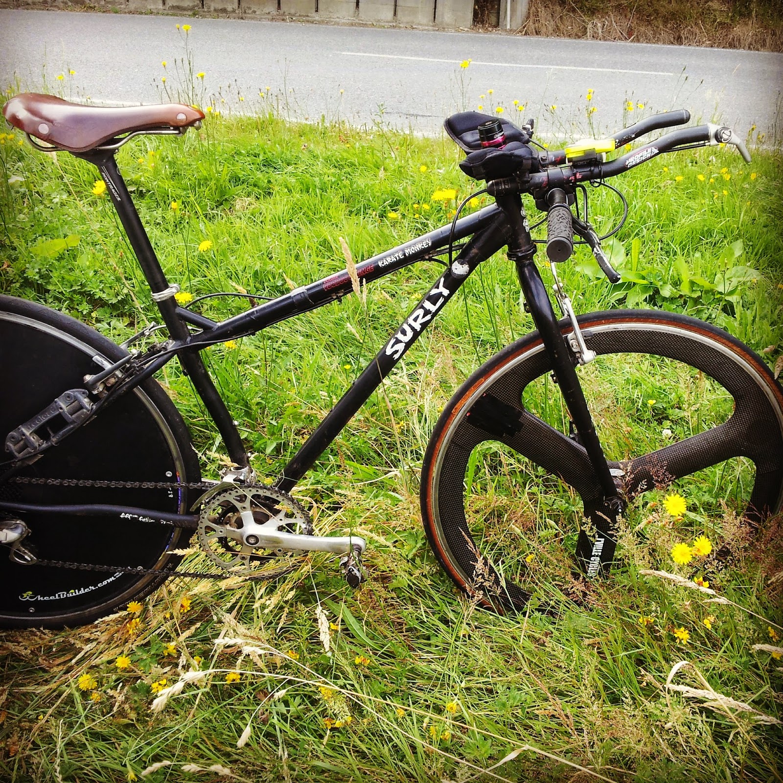 Surly Karate Monkey second impressions ~ Jeff's Bike Blog