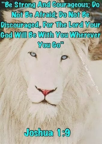 Love For His People: The King Is Coming. Back.