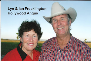 HOLLYWOOD ANGUS STUD: EMBRYOS FROM MILLER WILSON ANGUS (DMM), CANADA