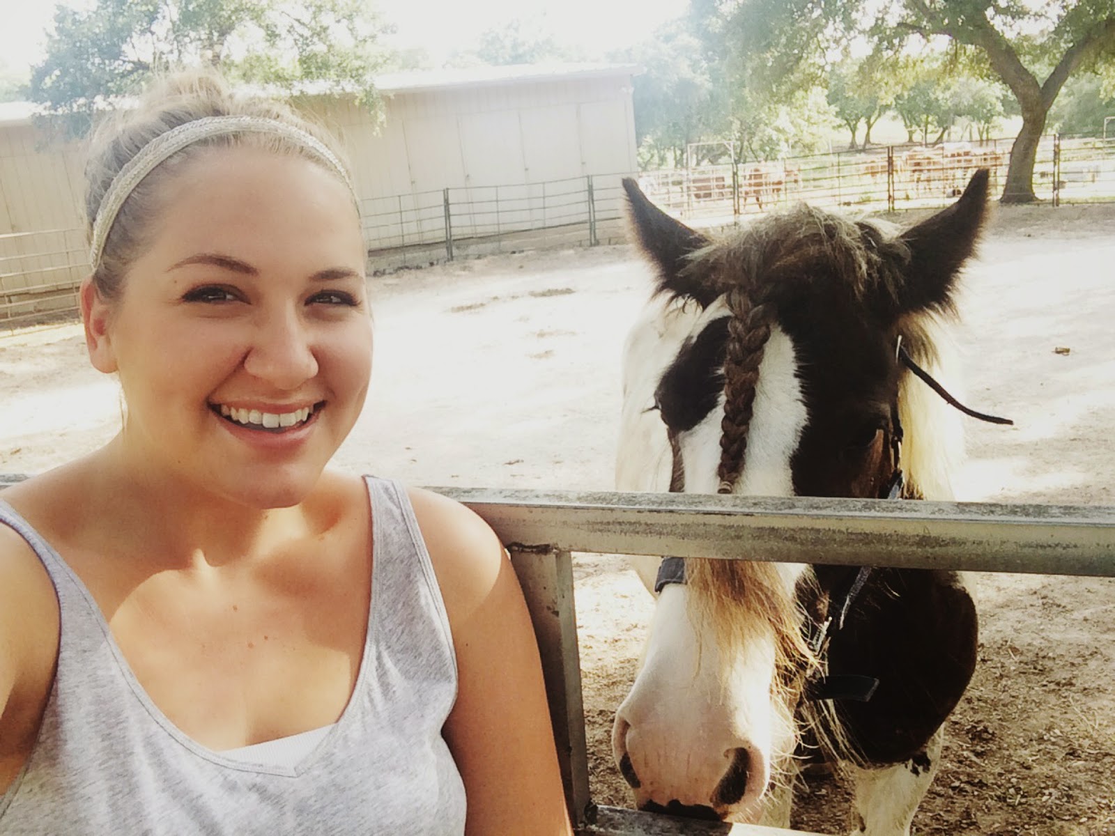 Hill Country Housewife: A Baby DONKEY + other farm animals