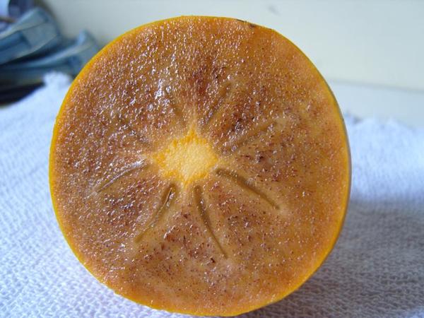 kakinak: Kaki Matsuri