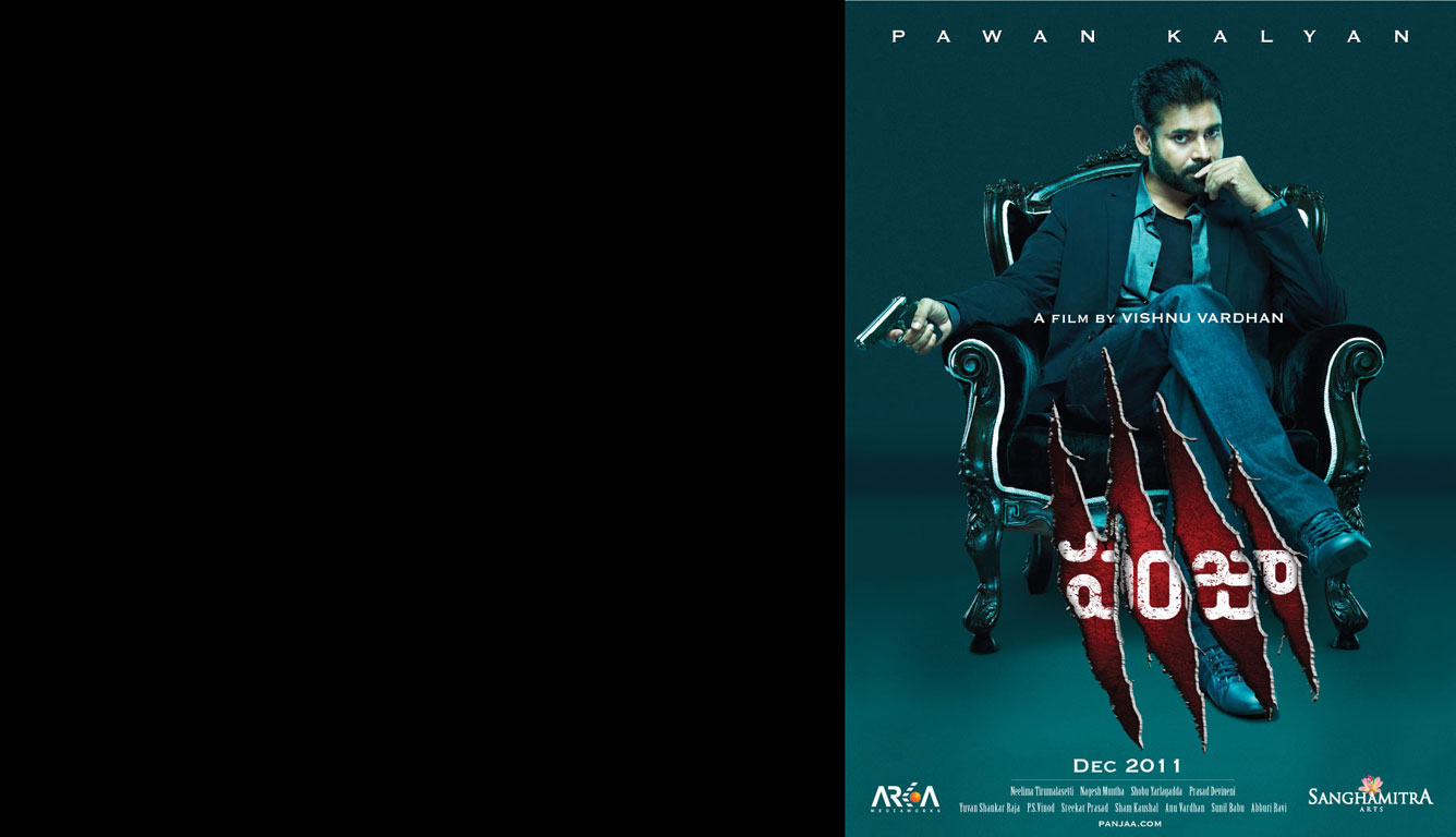 Fabulous Indian Actors: panja wallpapers