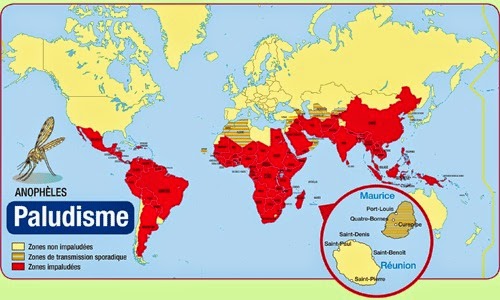 Nature alerte: 24/04/2015...Journée contre le paludisme : l'OMS lance ...