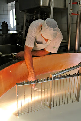 danielle abroad: how to comté: from cow to cheese