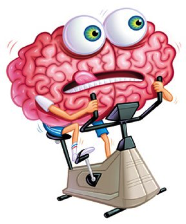 MYO Therapy & Healthcare Institute: Brain Exercise