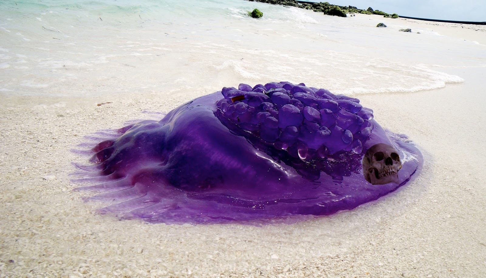 Ultanya: The Purple Ooze