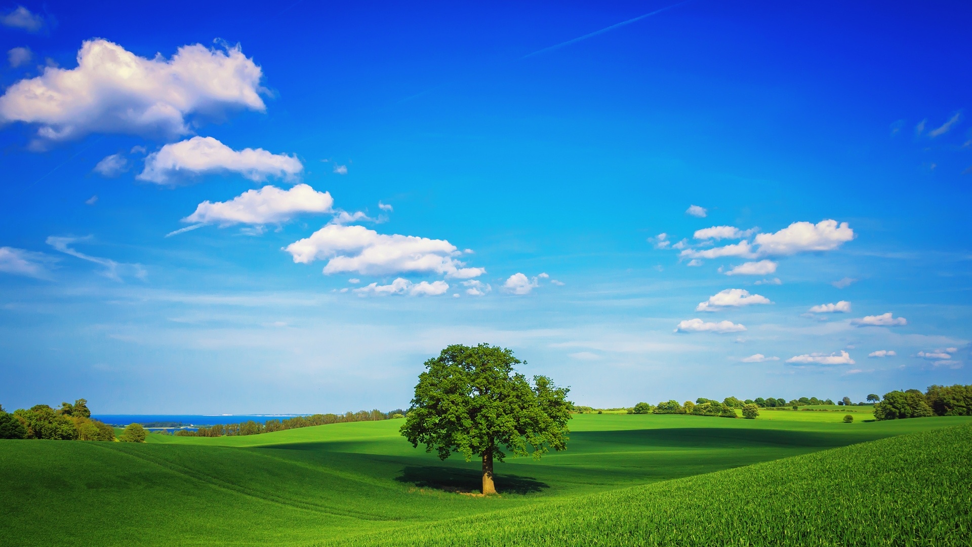 Superb Natural Green Park - High Definition Wallpapers - HD wallpapers Superb Natural Green Park - High Definition Wallpapers - HD wallpapers