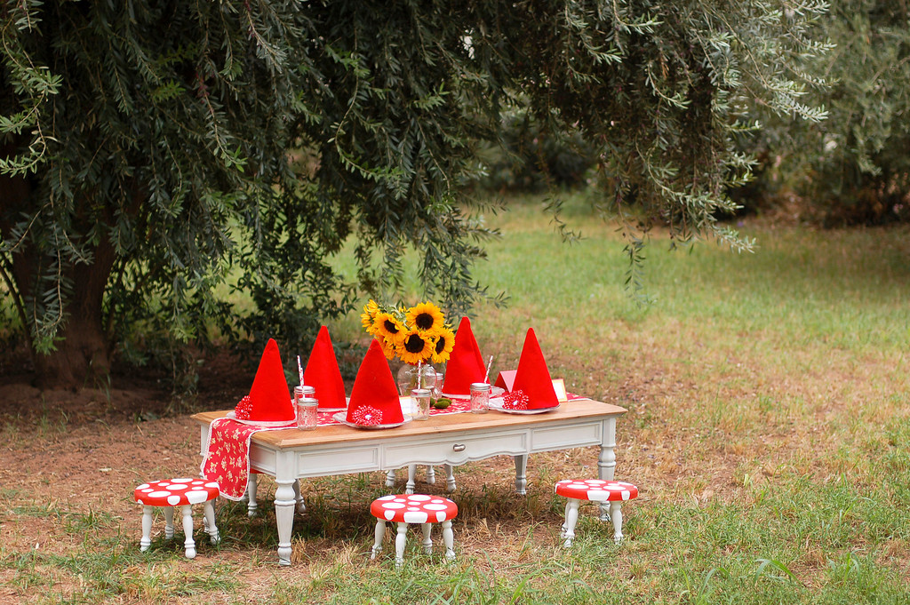 Tradewind Tiaras: Real Parties: A Fall Gnome Birthday Party